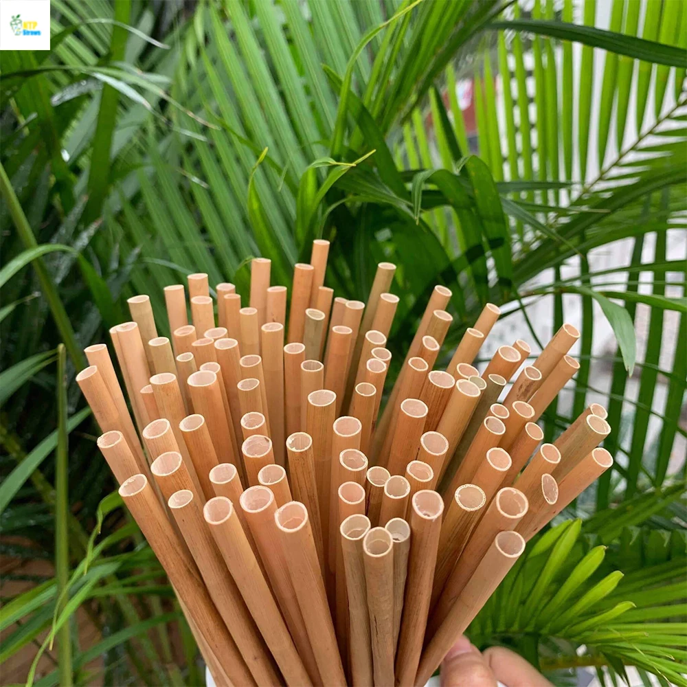 Going Green in Vietnam: the Rise of Grass As a Top Trending Sustainable ...