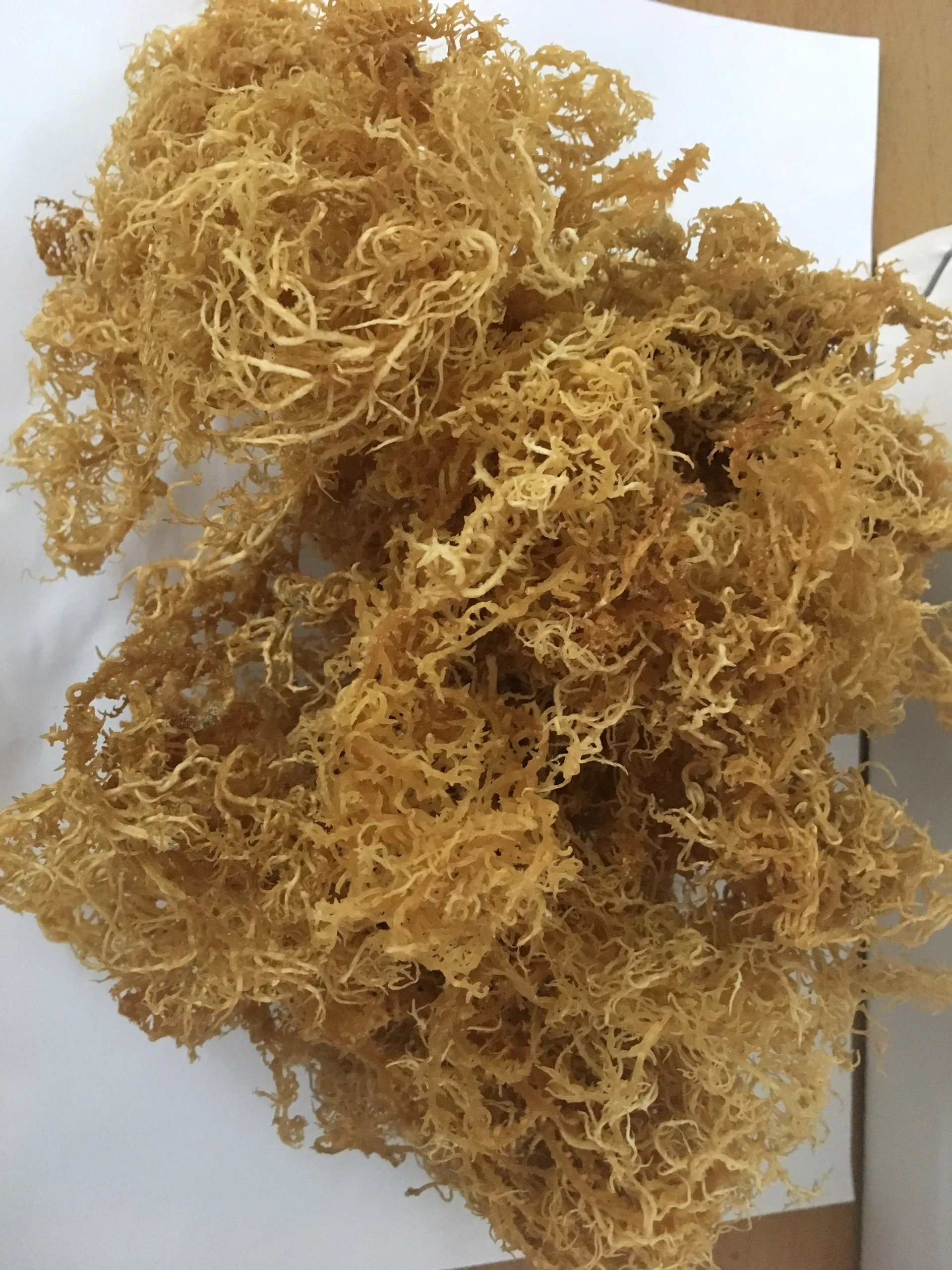 Raw Material for Making Sea Moss Gel - Natural Eucheuma Cottonii