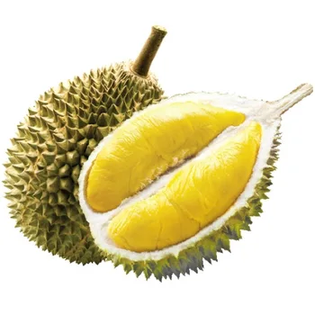 Premium Product King Of Fruit - Frozen Durian Ri6 Monthong With Seed ...