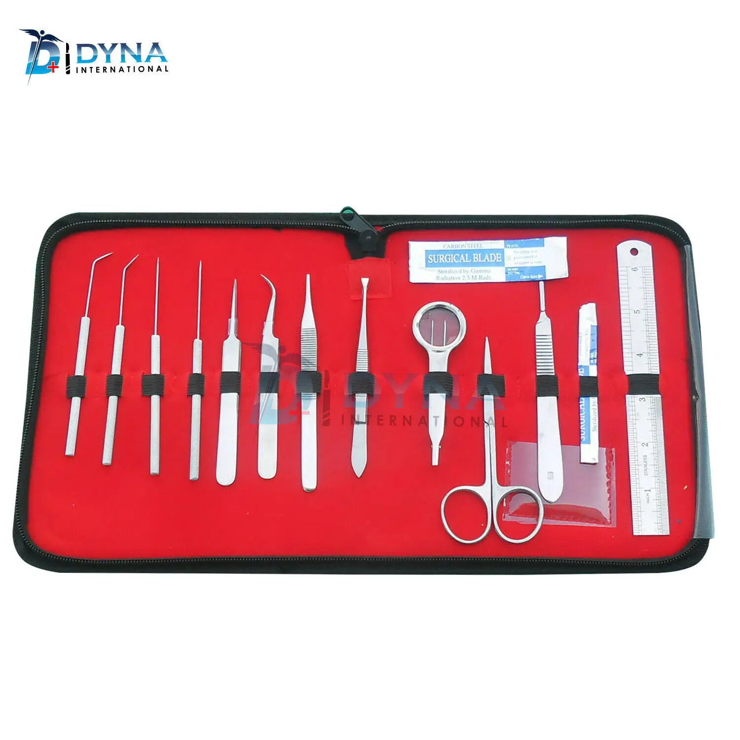 Entomology Dissection Kit - Stainless Steel Surgical Instruments