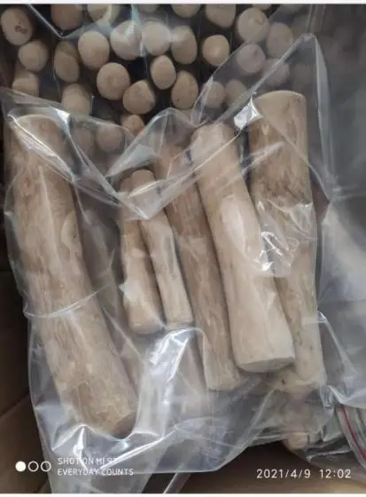 Best Price Supplier Chewable Stick Coffee Tree Wood Dog Chew Toy Coffee ...