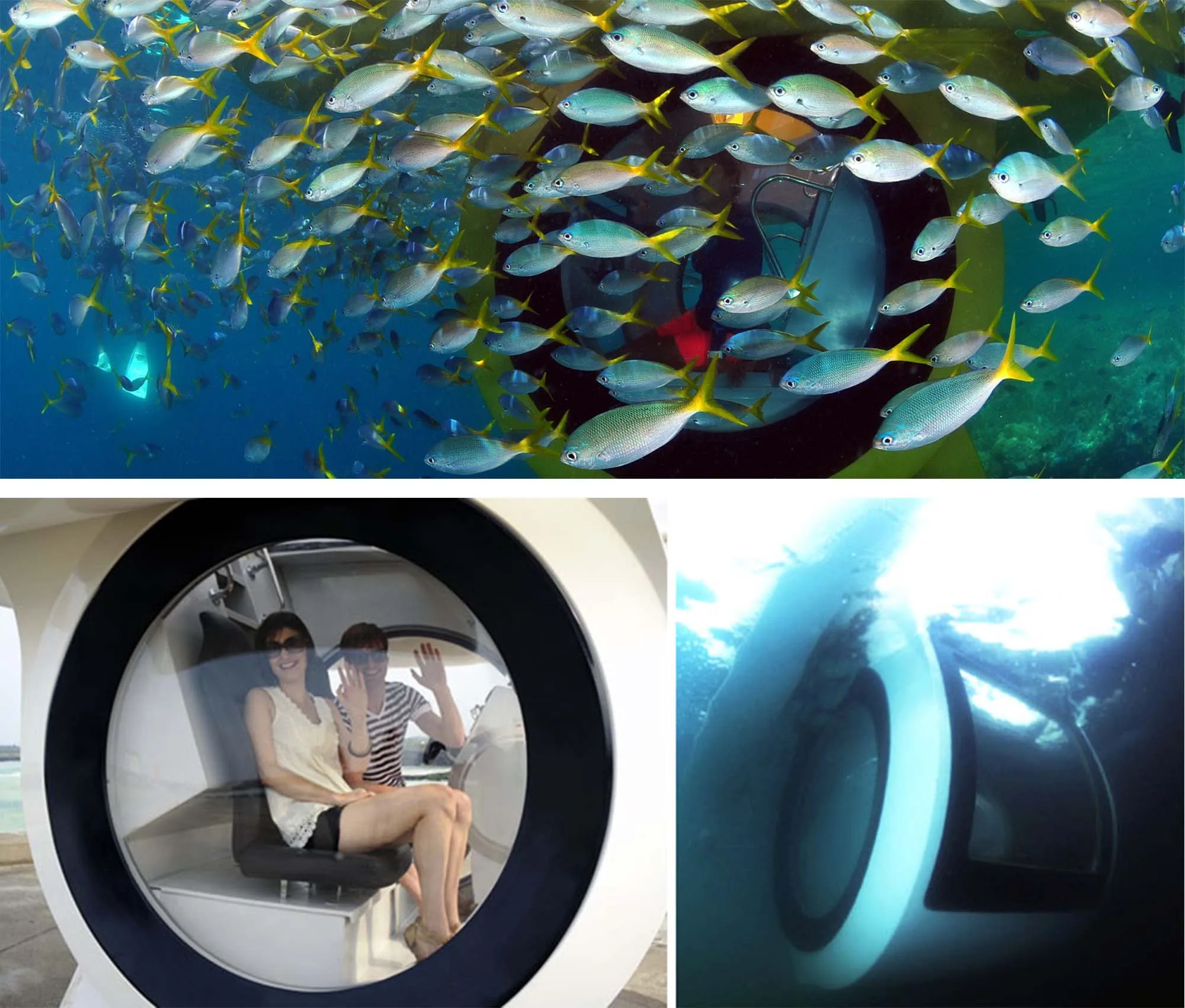 Luxury SUBMARINE Boat - Glass Bottom & Fiberglass Hull