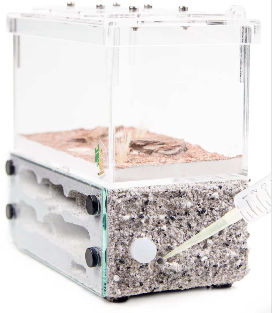 Transparent Ant Nest Farm with Large Storage Tank Formicarium