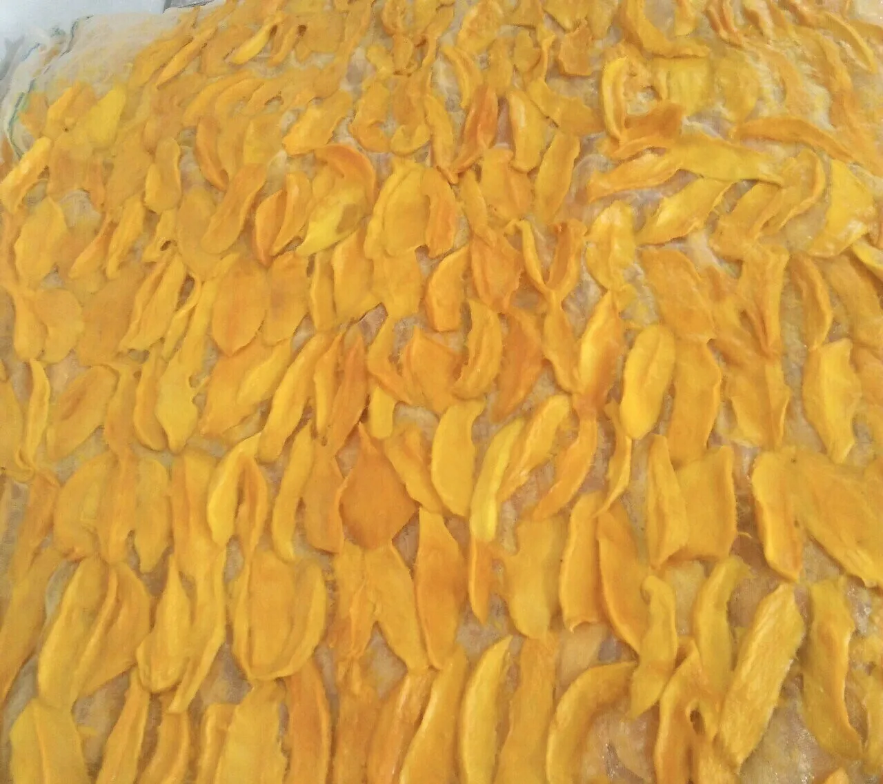 Wholesale Soft Dried Mango For Exporting From Vietnam - Competitive ...