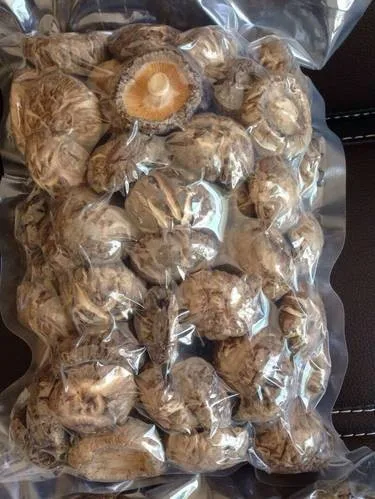 High Quality Organic Dried Shiitake Mushrooms Wholesale Price