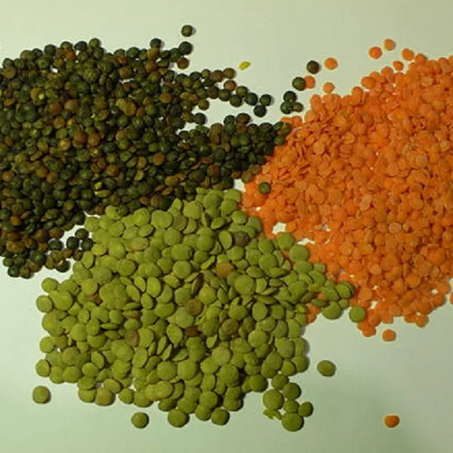High Quality Green / Yellow / Red Split Lentils / Green Split Lentils ...