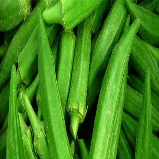 Fresh Green Okra/okro for Wholesale - Organic & Durable