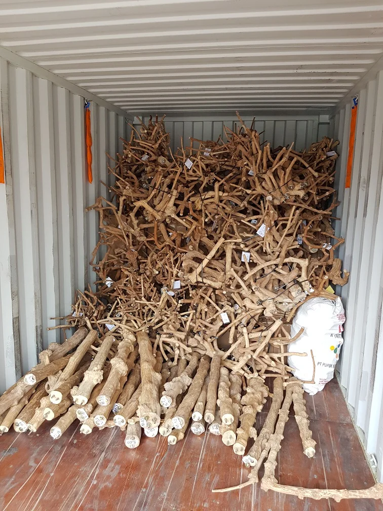 Java Wood Parrot Bird Perch Tree Stand - Buy Java Wood Java Wood Parrot ...