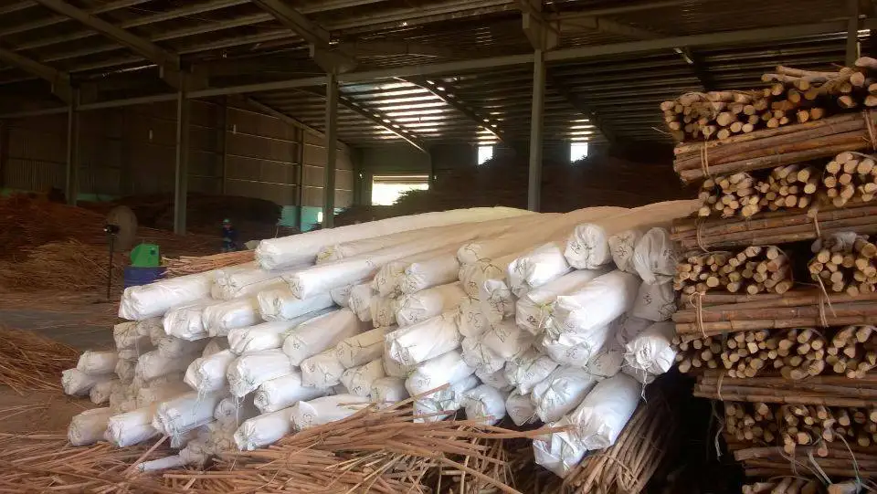 Manau Rattan Poles from Vietnam - Durable and Versatile