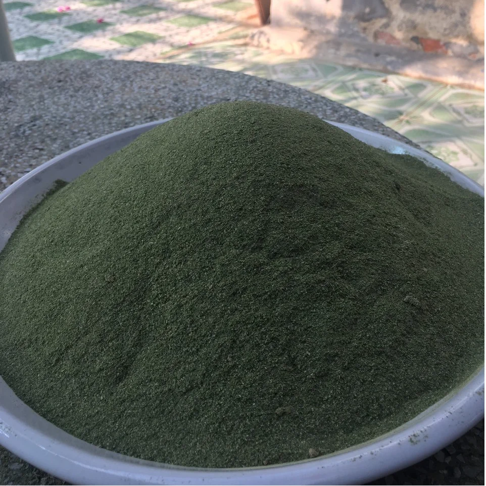 Top Quality Green Seaweed Powder/ Fertilizer Green Seaweed Made in ...