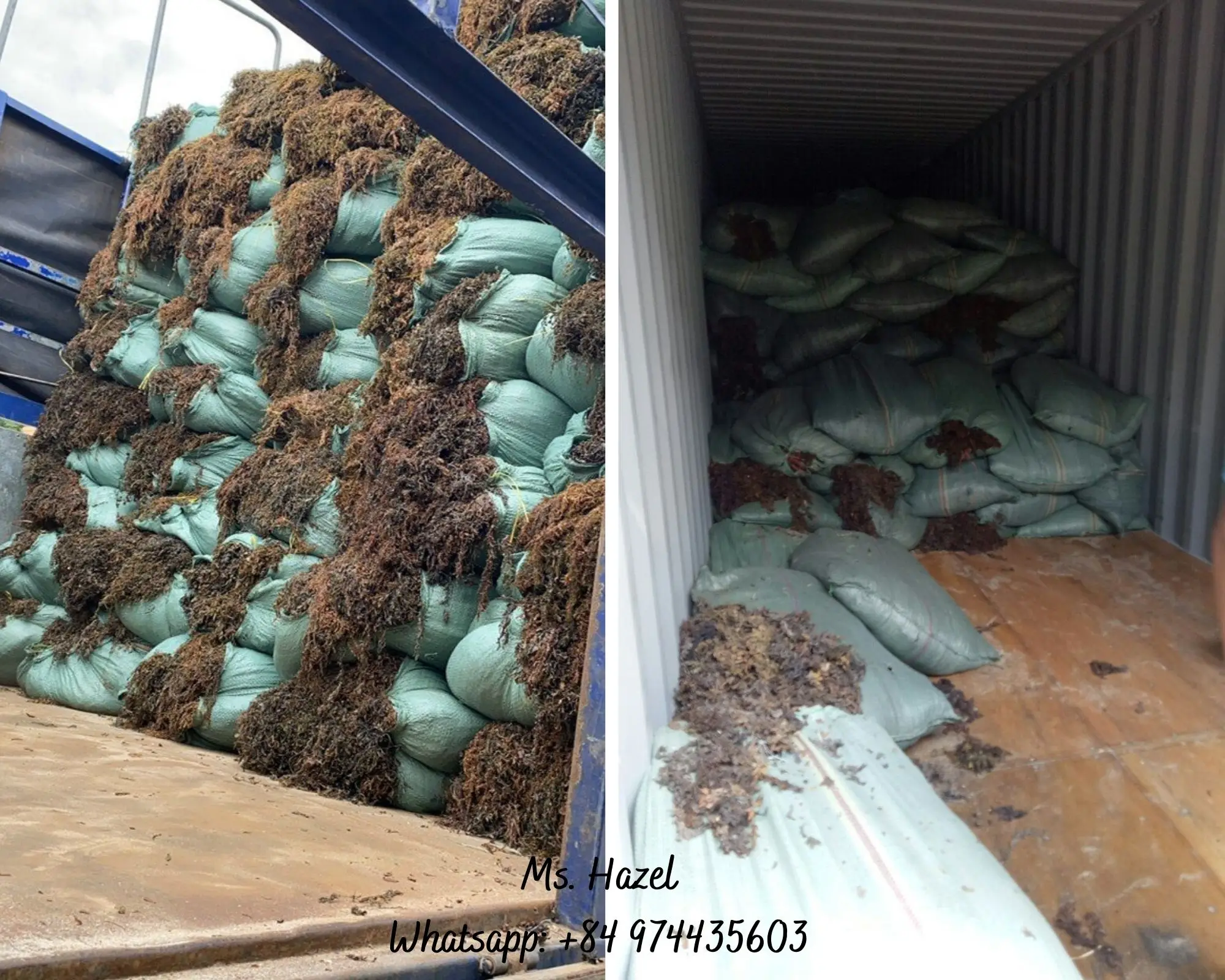 Dried Sargassum Seaweed Material For Fertilizer From Vietnam/best Grade ...