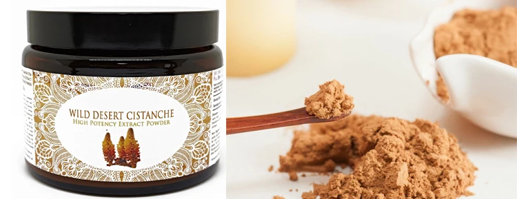 Cistanche Deserticola Extract - Premium Herbal Supplement