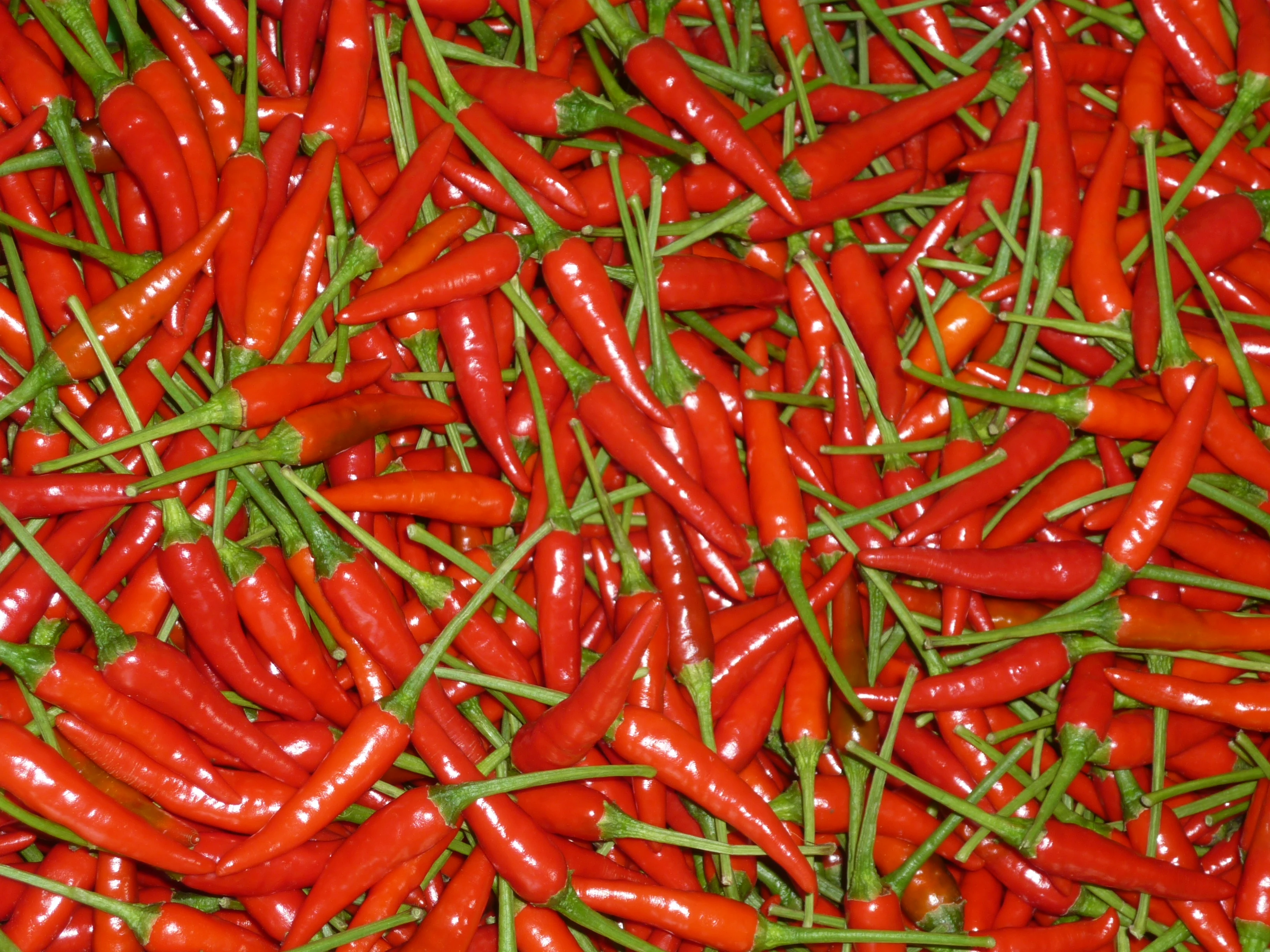 High Quality Frozen Red Chilli With Low Price - Iqf Chili Hot Spicy ...