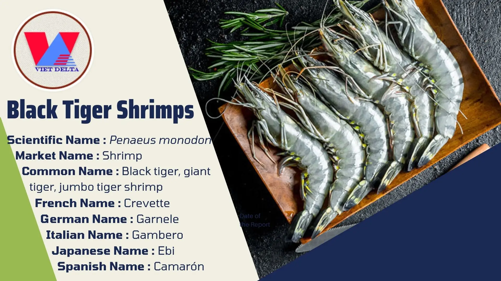 Hlso Frozen Black Tiger Shrimp Premium 1 Kgs Packaging Prawns Shrimps