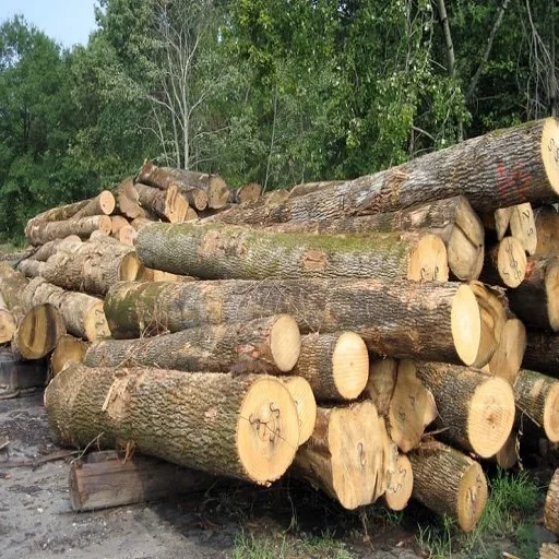 Pine, Birch, and Spruce Wood Logs - Durable and Versatile