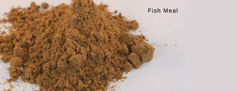 Peruvian Fishmeal /animal Feed Fattening Anchovy Fish Meal - Buy ...