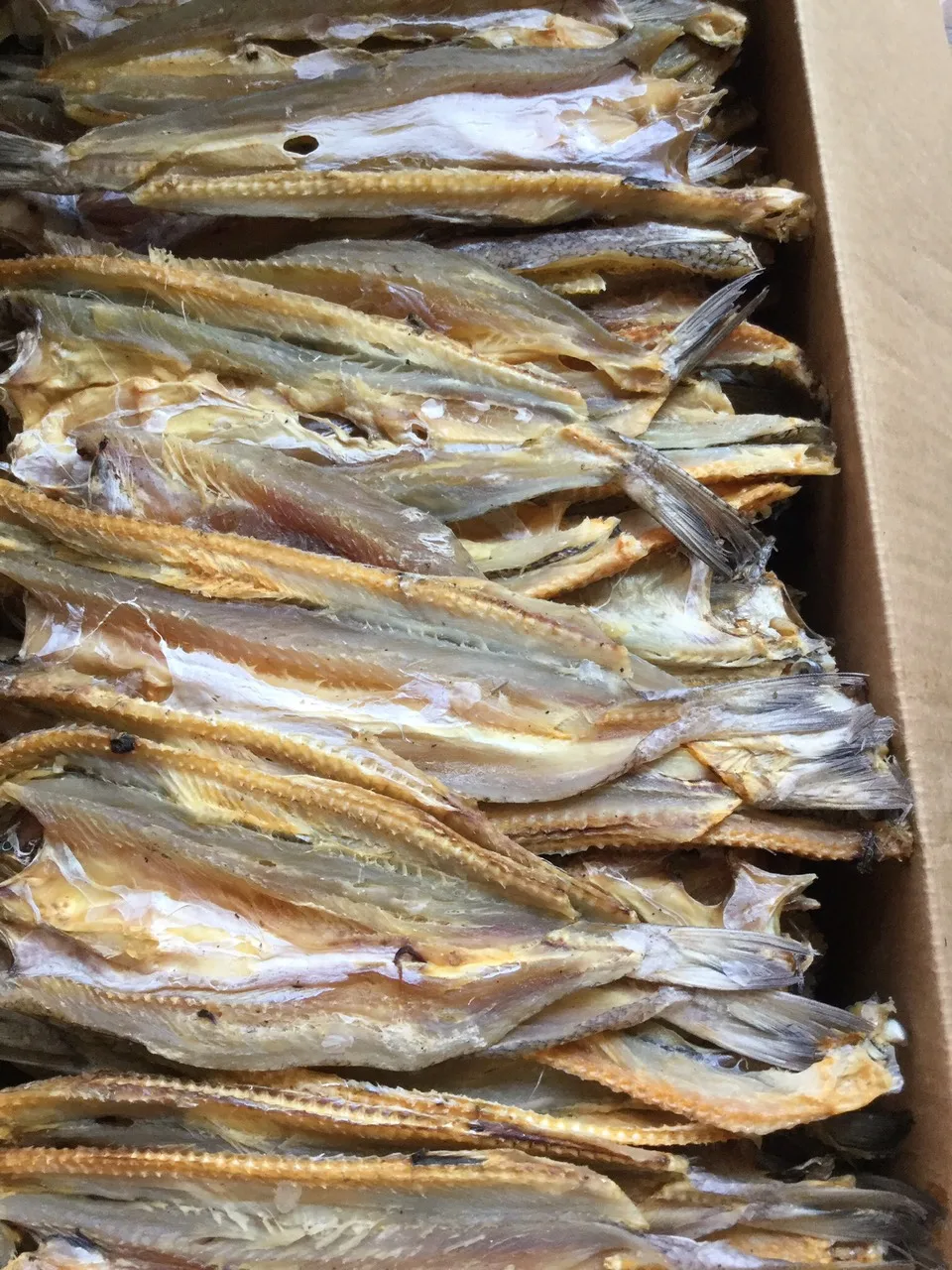Dried Lizard Fish - Dried Seafood With Best From Vietnam - Buy Lizard ...