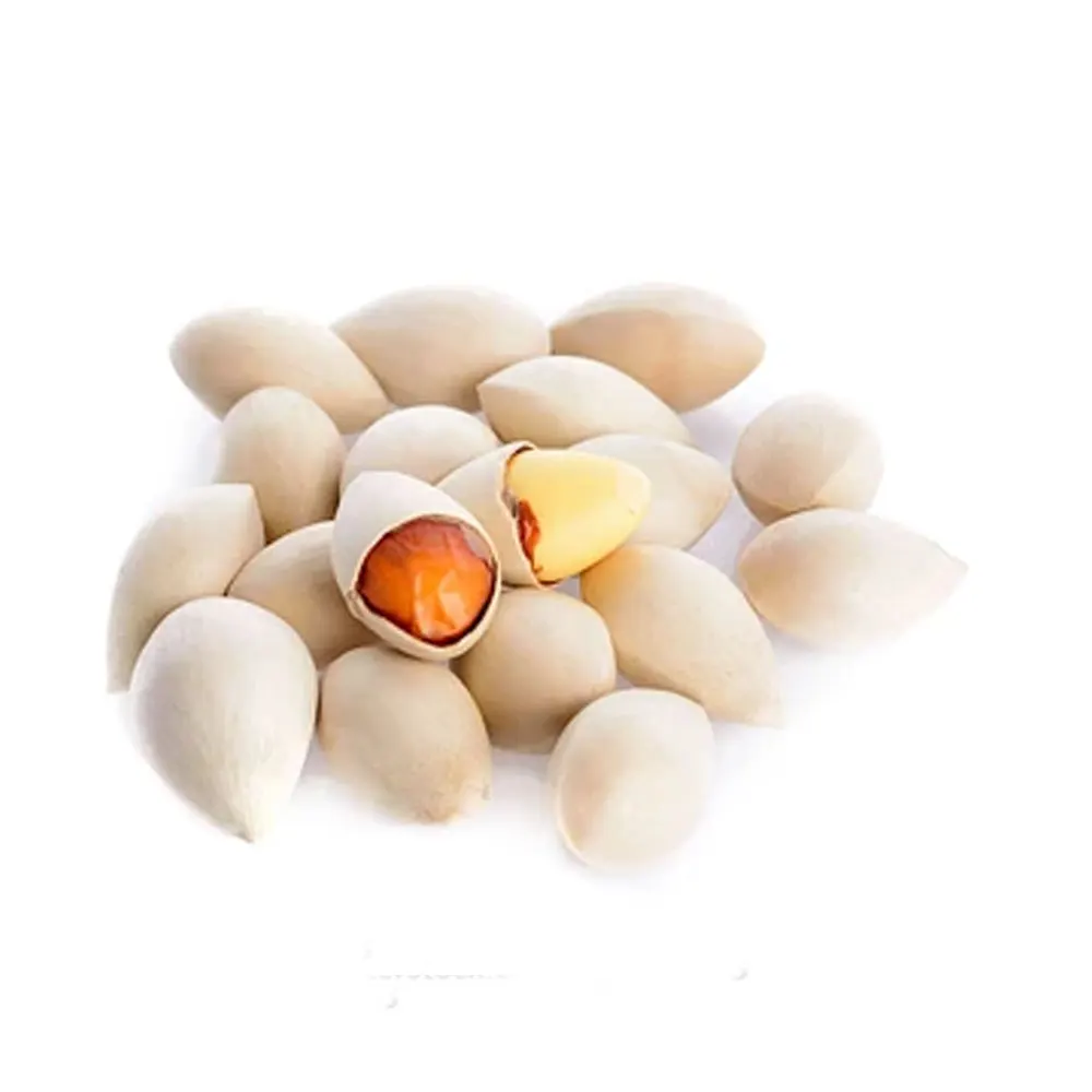 Fresh Ginkgo Nuts
