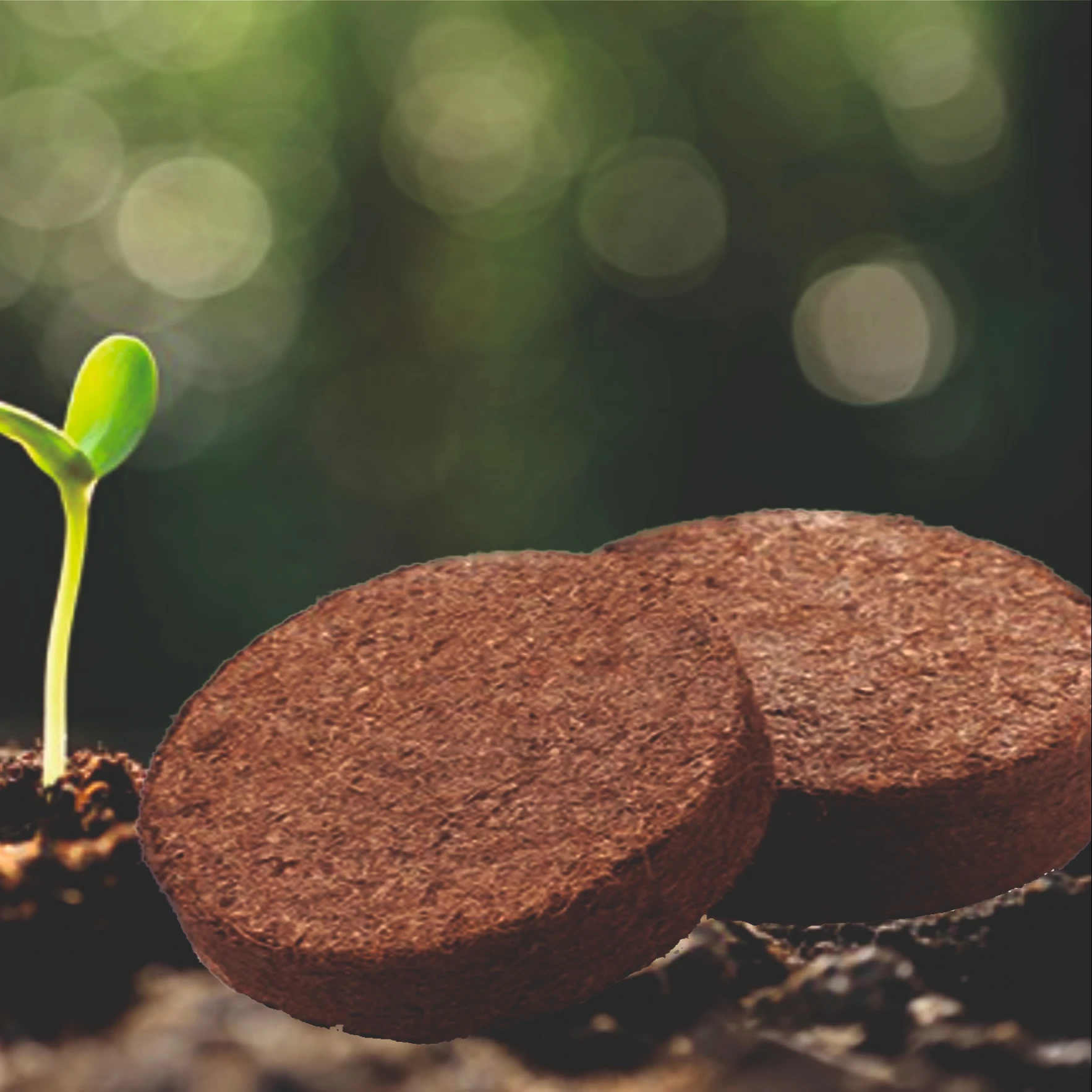 Coco Coir Disc Pellets Tablets For Seed Starting Plant Growing Eco ...