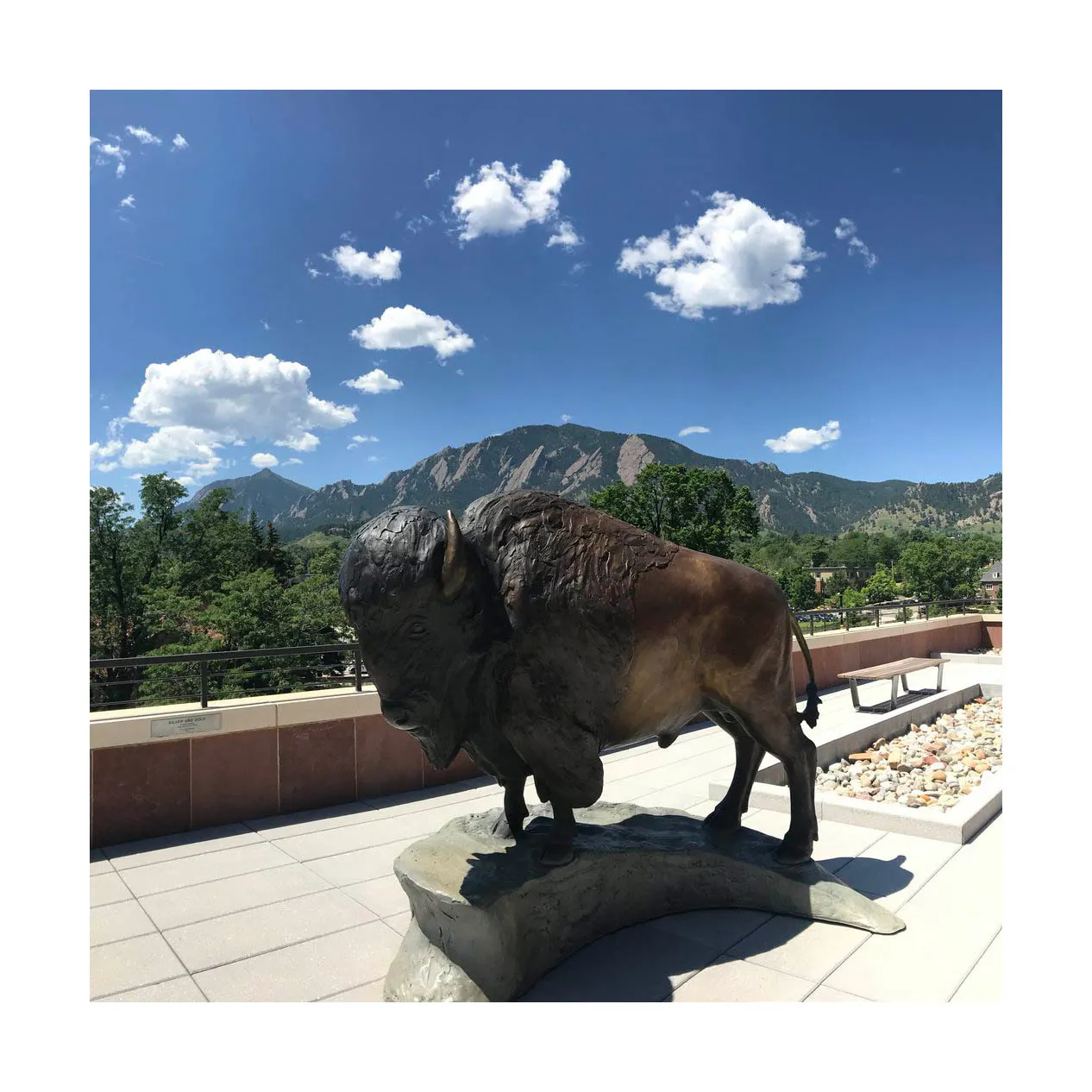 Outdoor Art Life Size Animal Sculpture Cast Bronze Brass Bison Statue ...