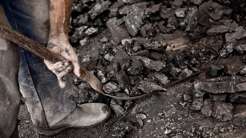 Colombian Coal - High Calorific Value for Steam Production