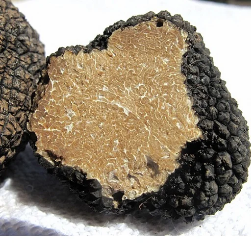Wild Truffles跨境商机分析报告行业外贸出口趋势-阿里巴巴国际中文站官网