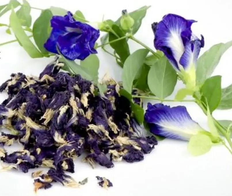 Organic Blue Tea High Quality Dried Tea Dried Detox Blue Butterfly Pea ...
