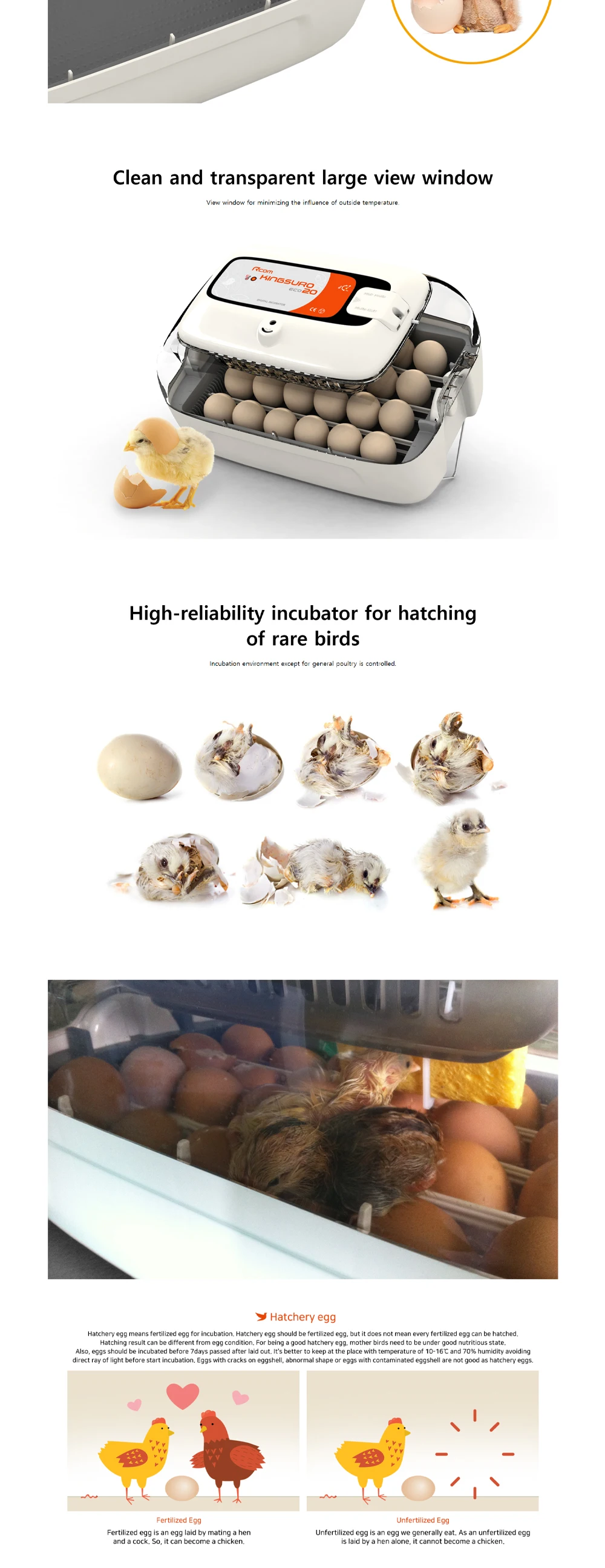 Rcom Egg Incubator with Divider - Efficient Chicken Hatching