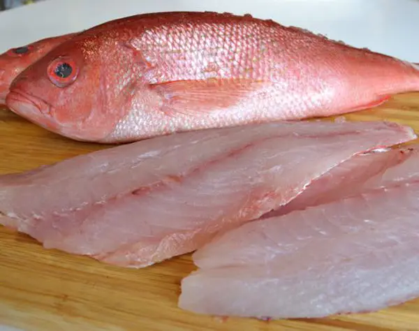 Good Sale Frozen Fish Red Mullet Fillet Seafood - Buy Red Mullet Fillet ...