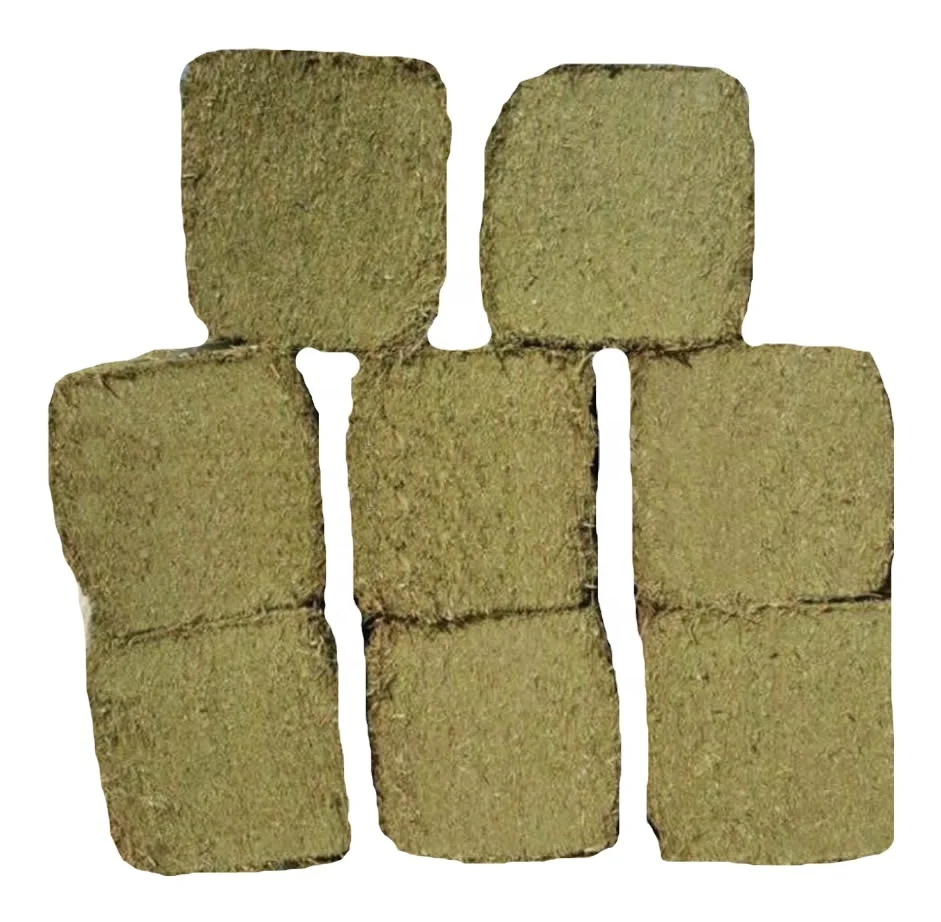 Peanut Hay Bales From Pakistan/ Animal Feed Grass For Cattle A Grade ...