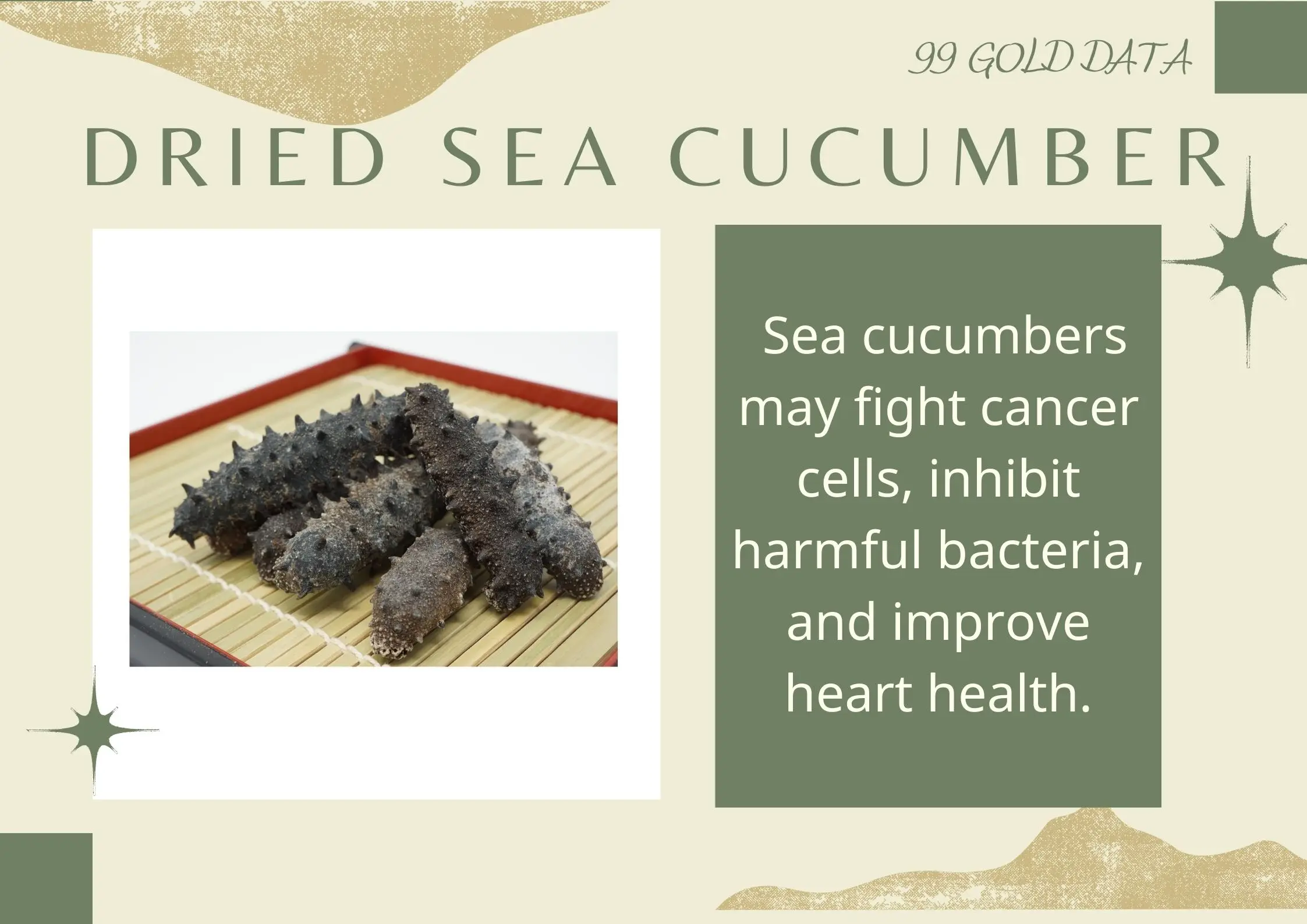 DRIED SEA CUCUMBER - High Quality White Teat Fish from Vietnam