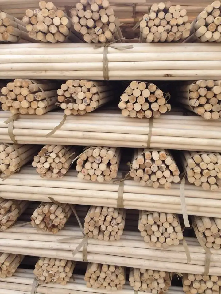 Manau Rattan Poles from Vietnam - Durable and Versatile