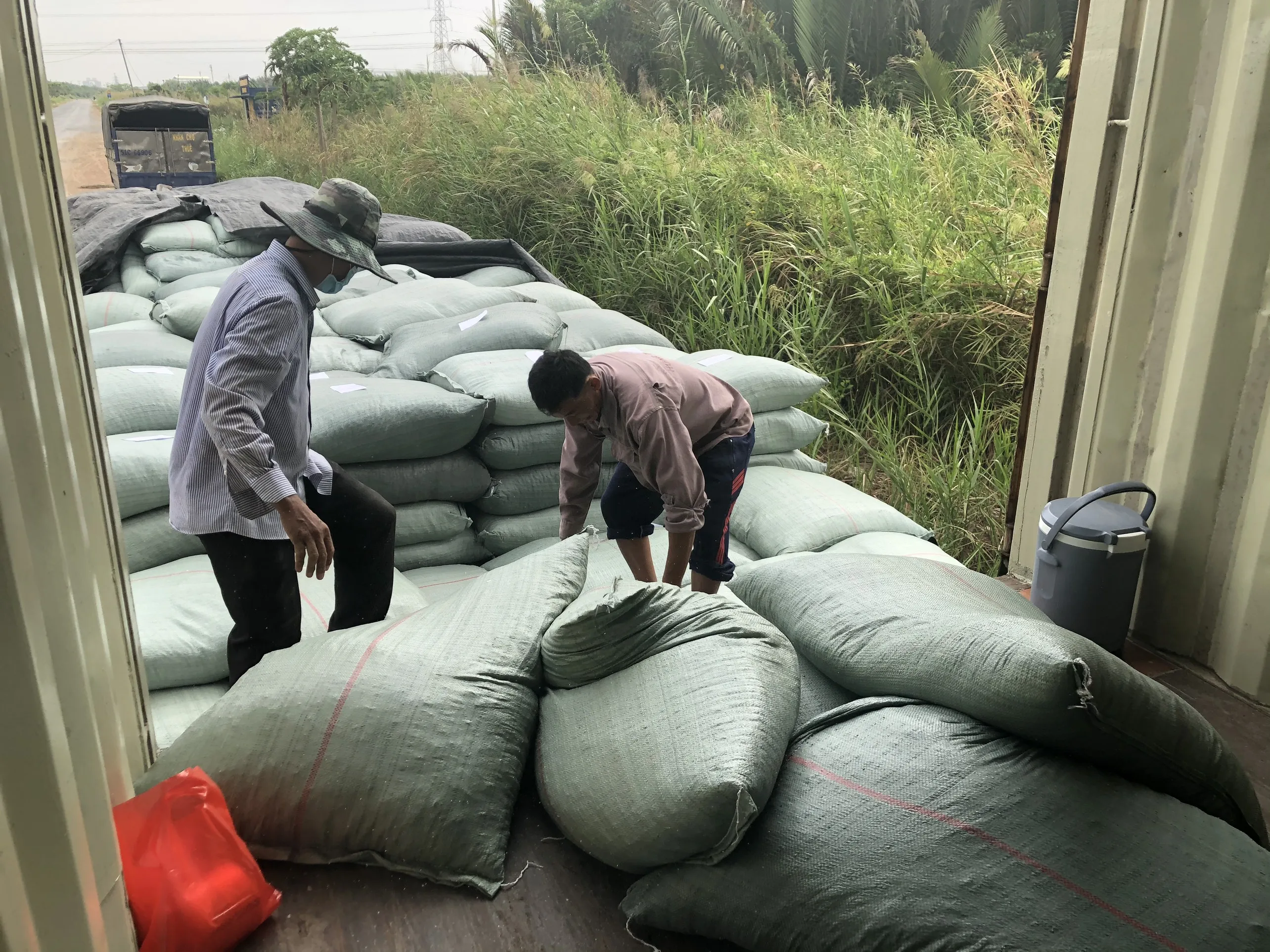 Dried Fish Scales For Collagen Gelatin Production Decalcified Tilapia ...