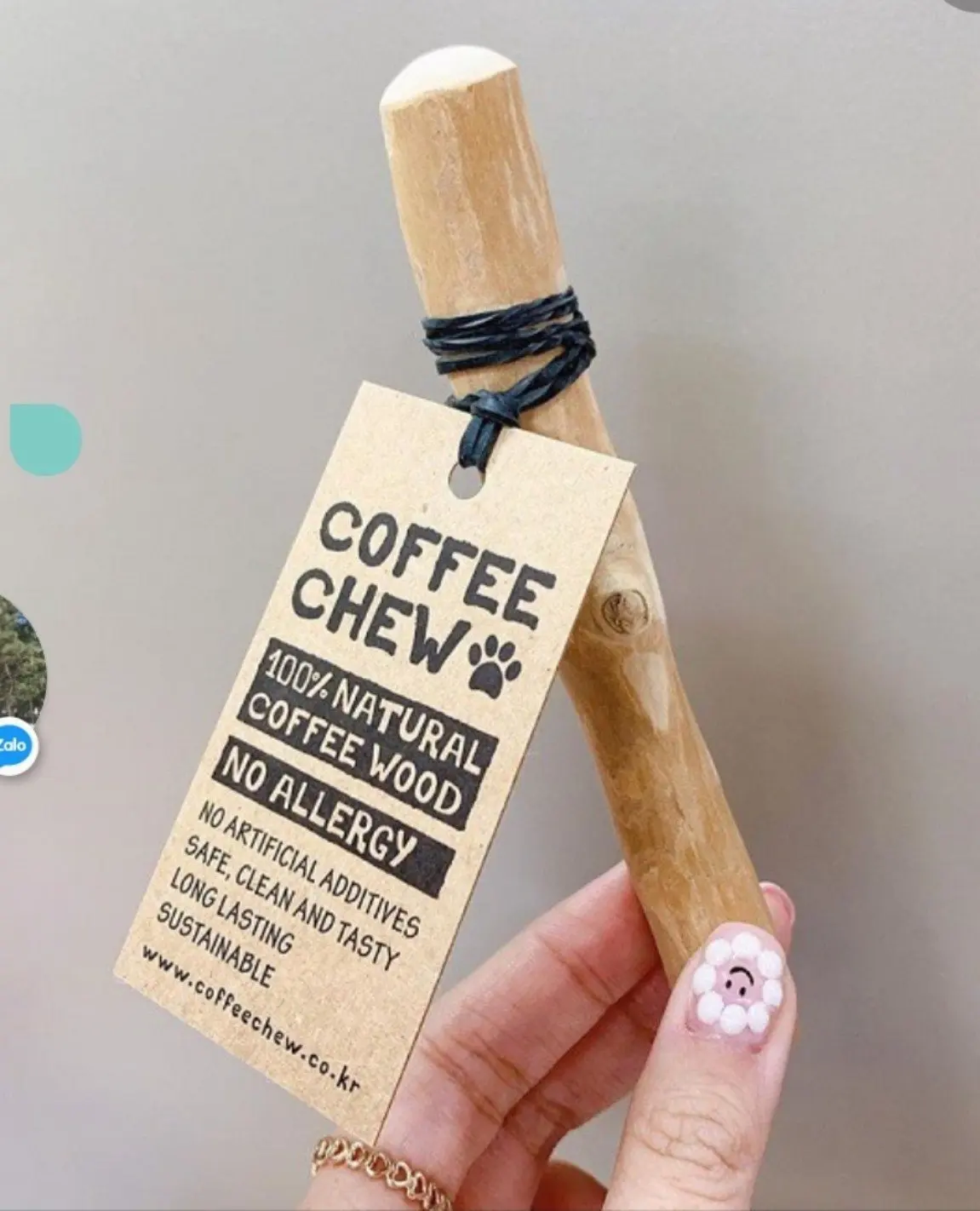 Chewable Stick Coffee Tree Wood Dog Toy - Durable & Sustainable