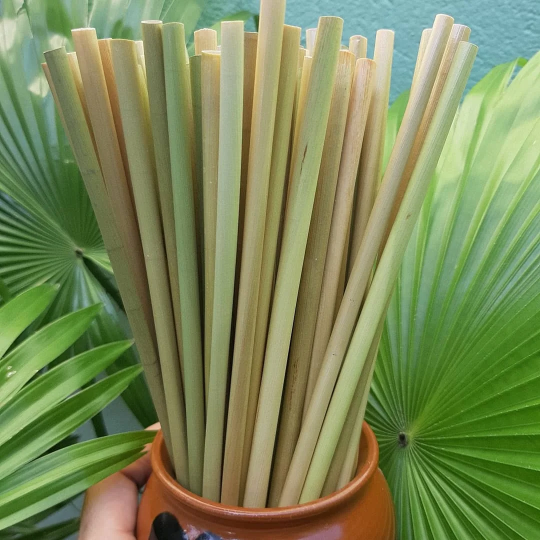 Circular Economy Innovation: Maximizing Rice Straw's Value In ...