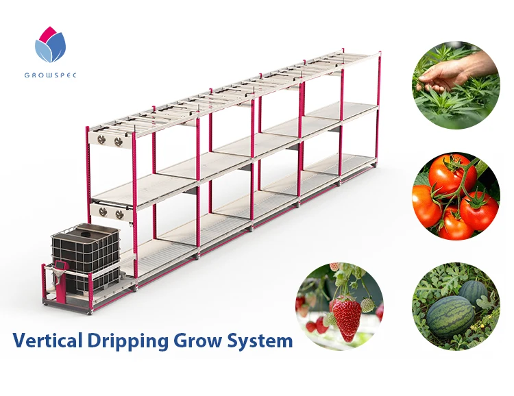 Hydroponic Vertical Grow System - Fast, High-Quality Indoor Farming