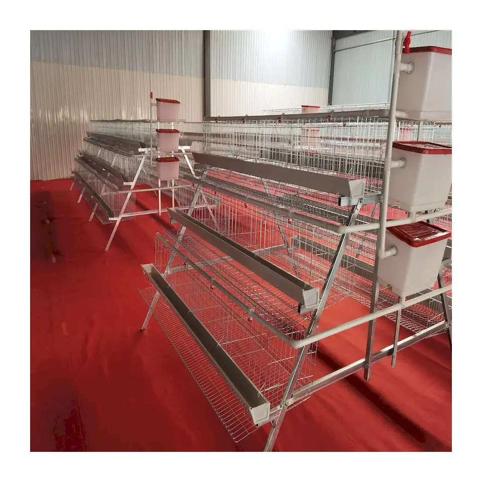 1000 Heads Capacity 3tier Layer Cage/chicken Layer Cages - Buy Breeding ...
