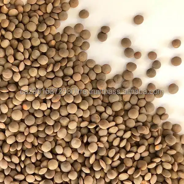 Wholesale Green Lentils Bulk Packaging 25/50 Kg Pp Bag With 12 Months ...