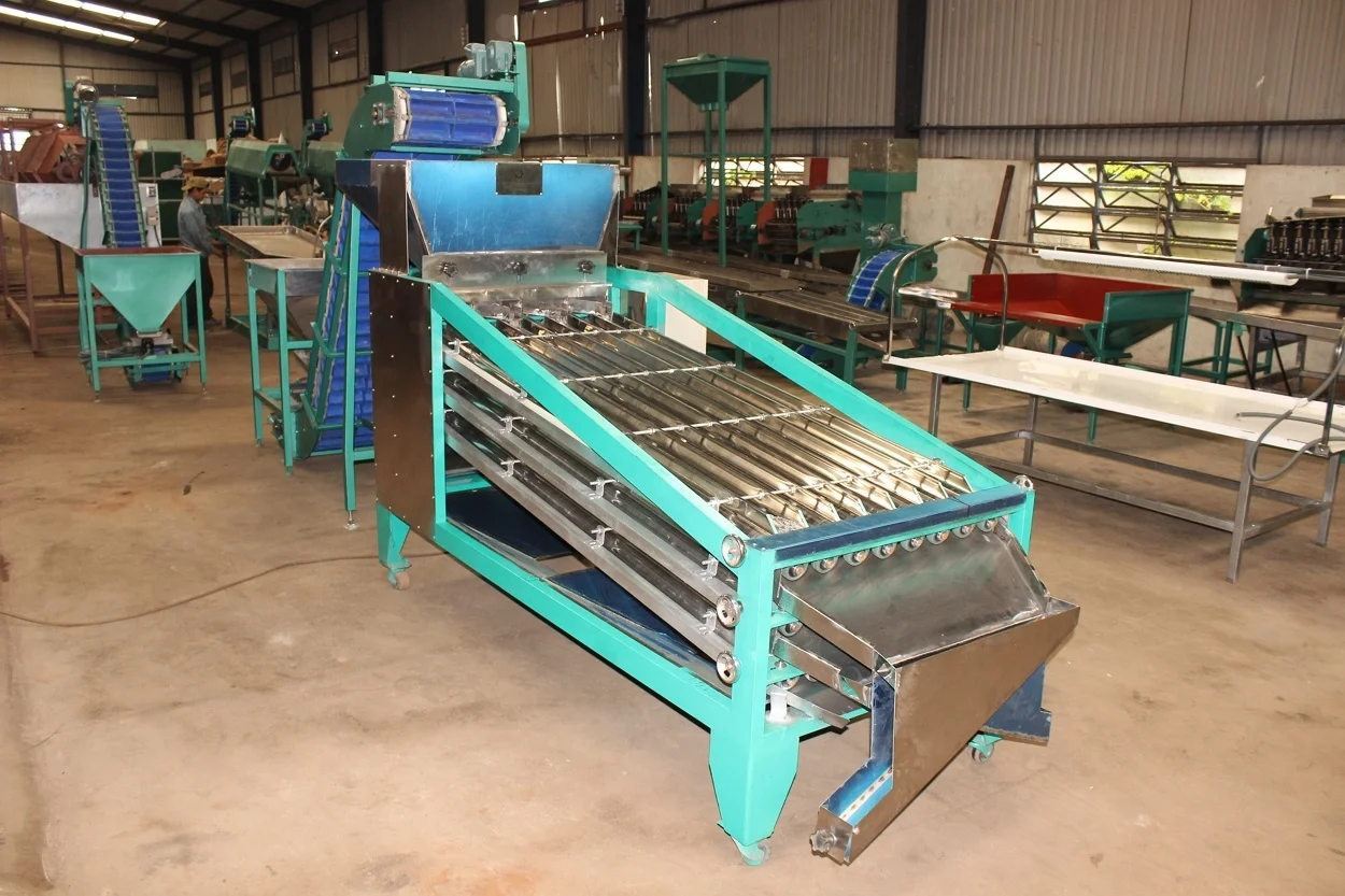 Cashew Size Sorting Machine - Ensure Quality & Consistency