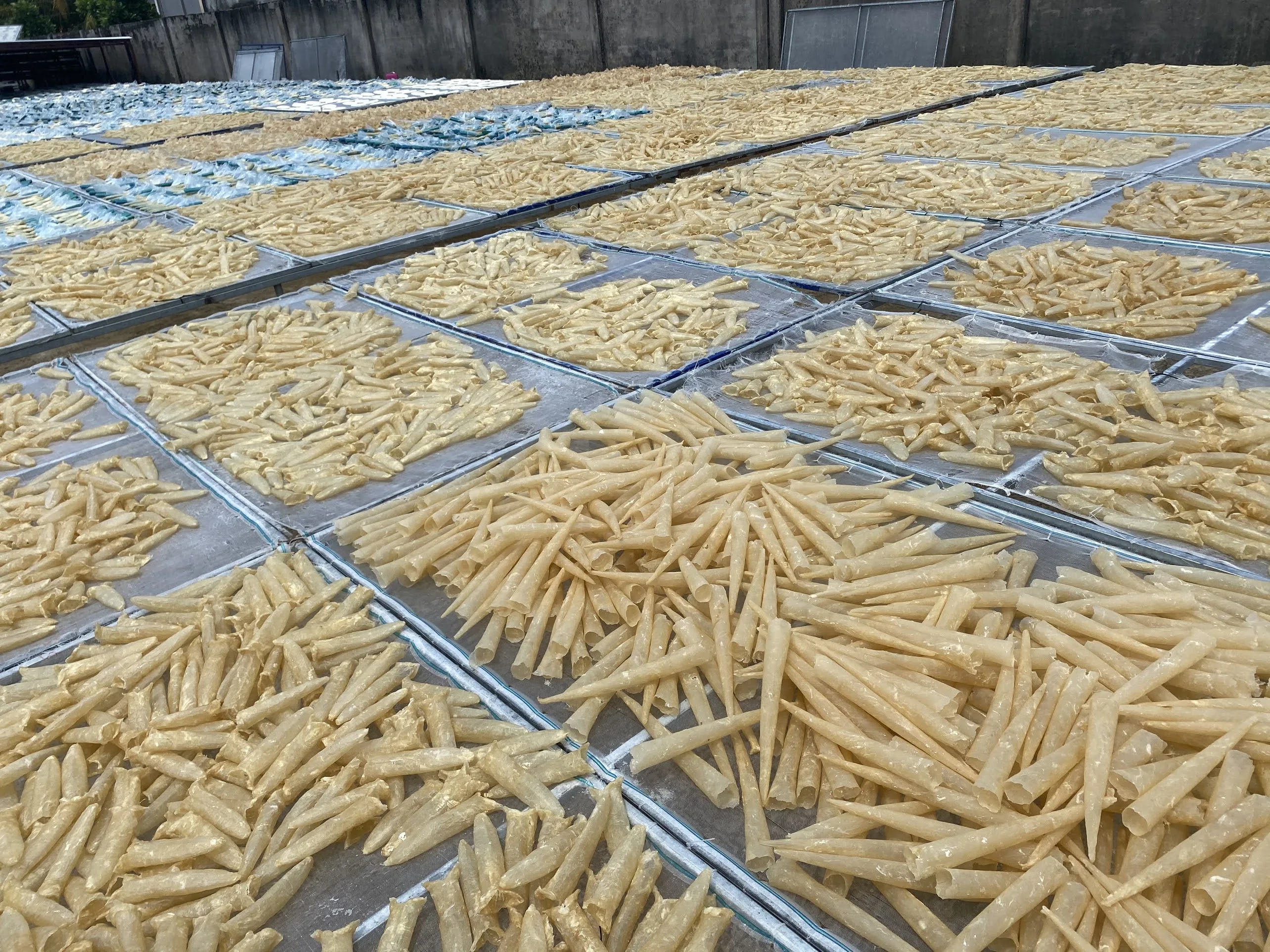 High Quality Dried Ling Fish Maw - Nutritious & Effective