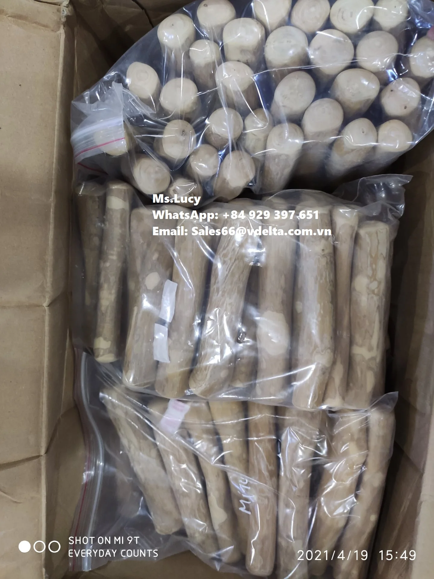 100% Coffee Wood Chew/ Dog Chew Stick/ Chewing Coffeewood Dog Chew Toy ...