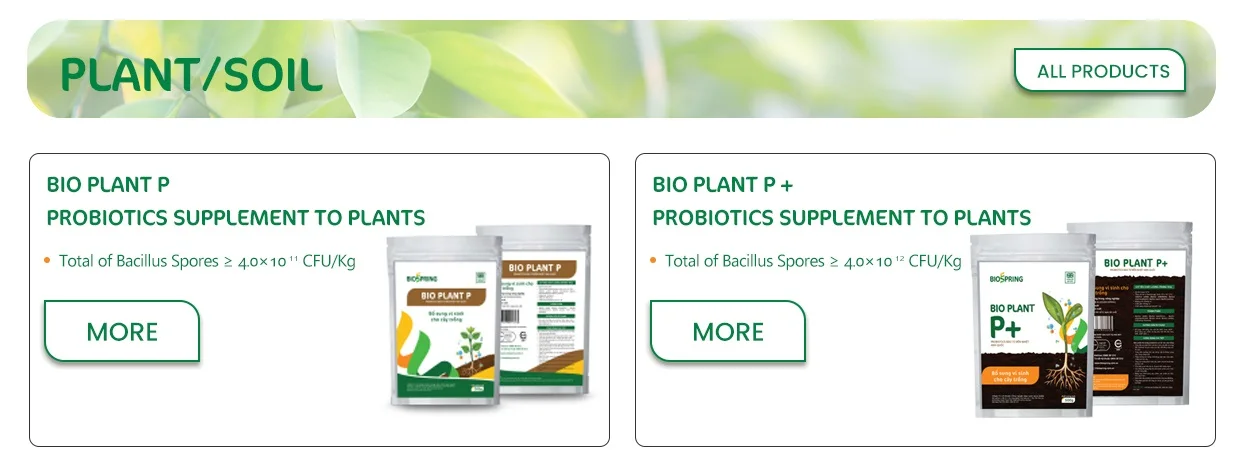 Bacillus Coagulans Bacillus Indicus Probiotics For Shrimp Bag Packaging ...