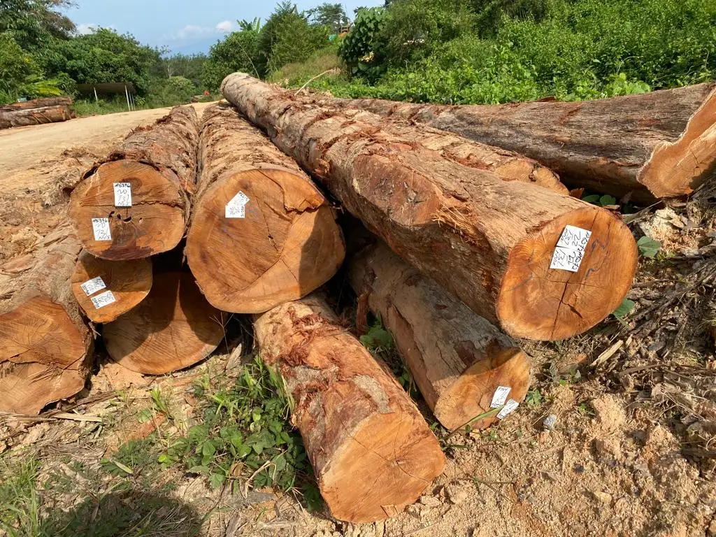 Alibaba.com: Good Quality Merbau Solid Hardwood from Malaysia : Durable ...