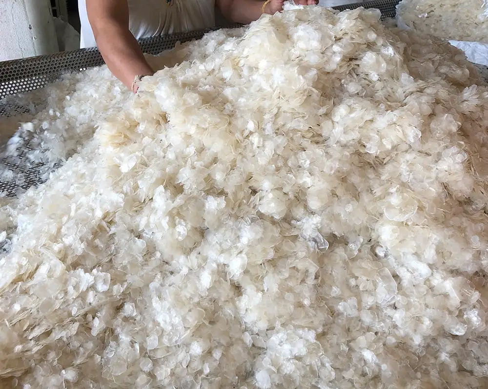 DRIED FISH TILAPIA SCALES for Gelatin Production in Viet Nam