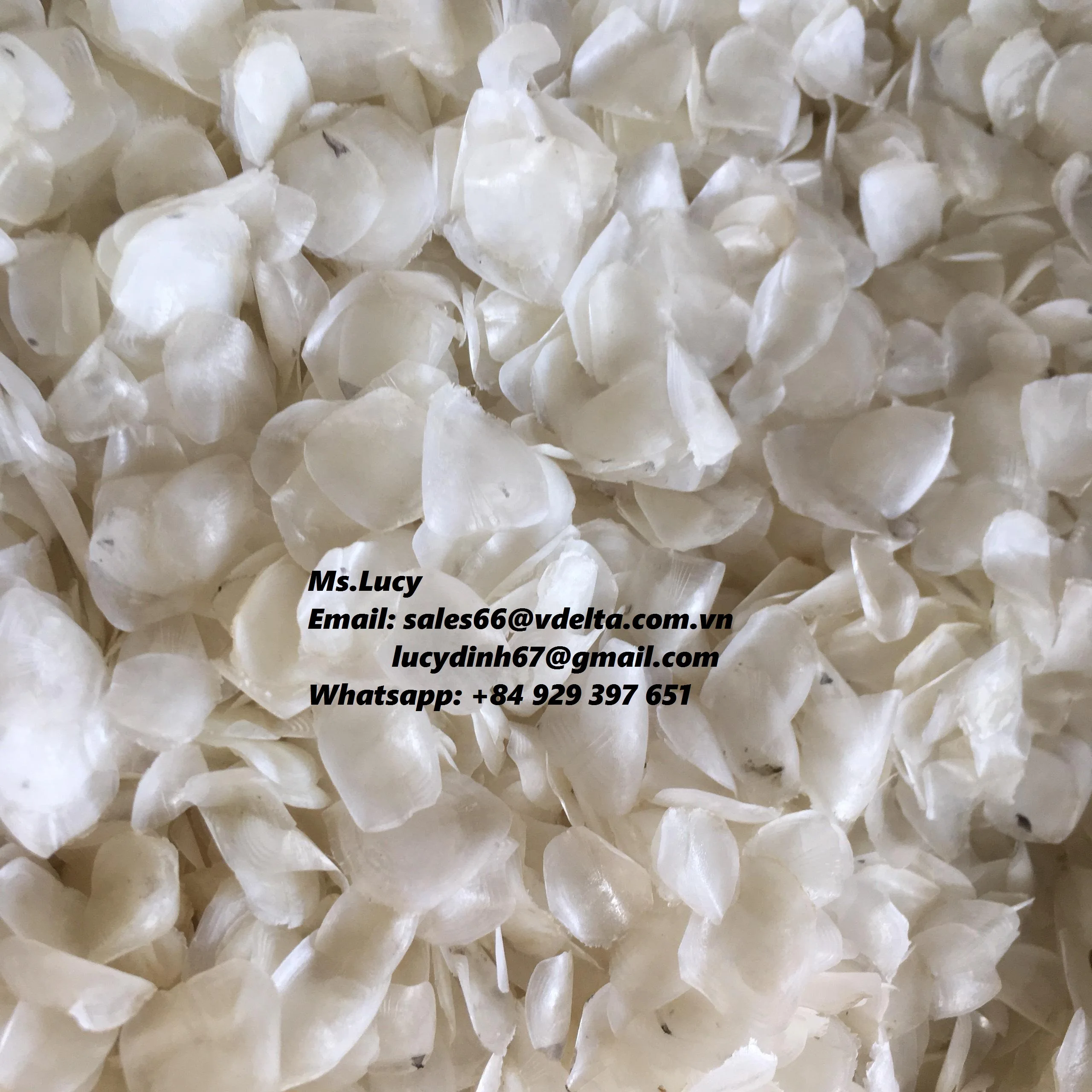 Dried Tilapia And Barramundi Fish Scales For Industries From Vietnam Ms ...