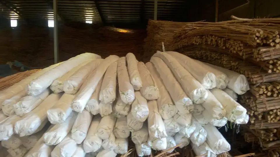 Manau Rattan Poles from Vietnam - Durable and Versatile