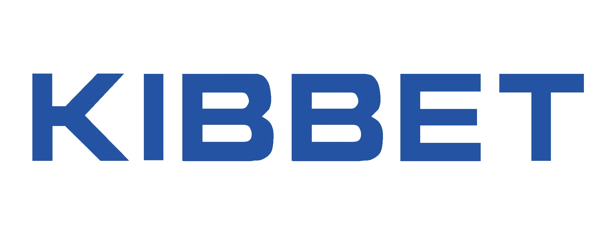 Company Overview - KIBBET VIET NAM COMPANY LIMITED