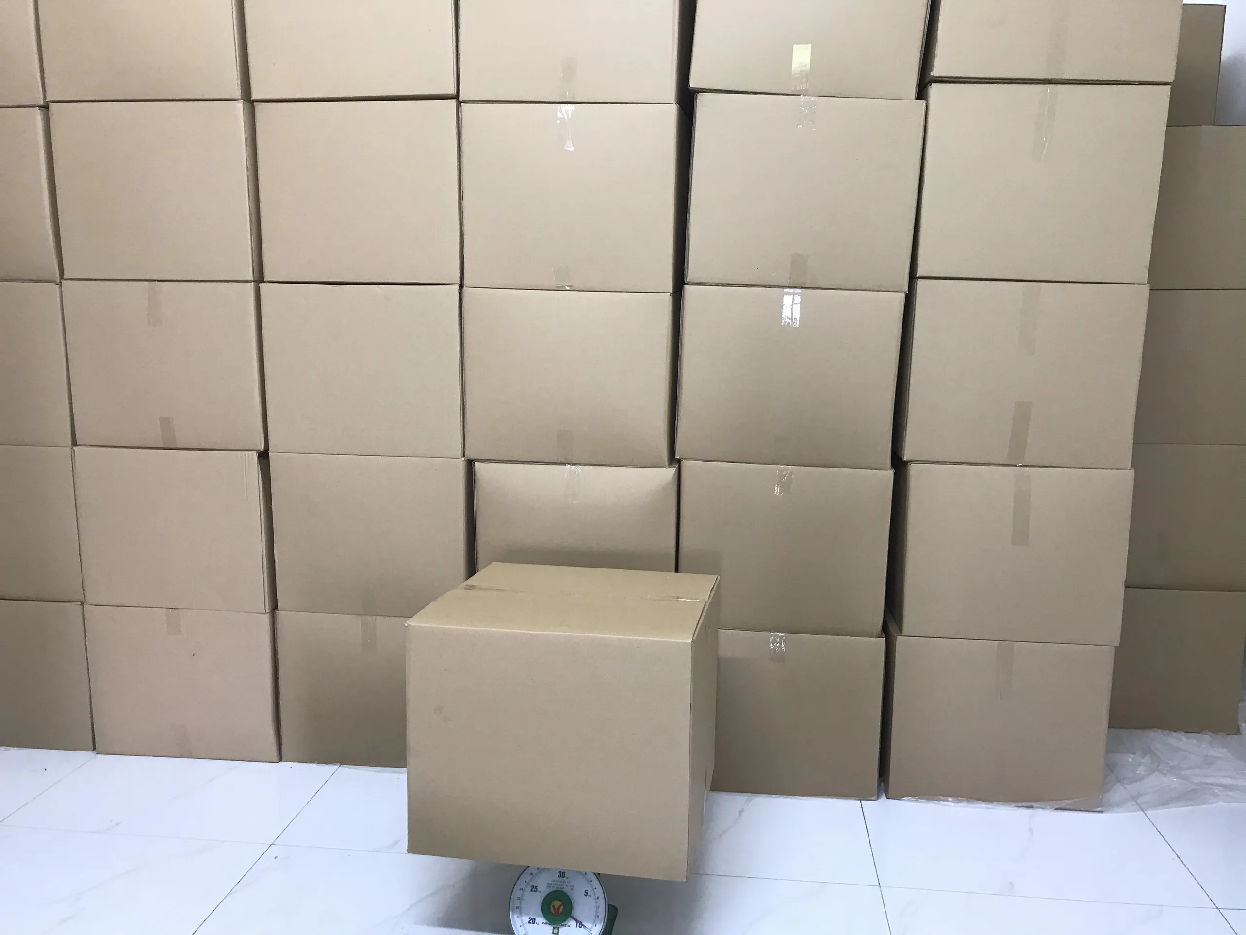 Vietnam Natural Green And White Seashell Snail Shell In Bulk For Sale ...