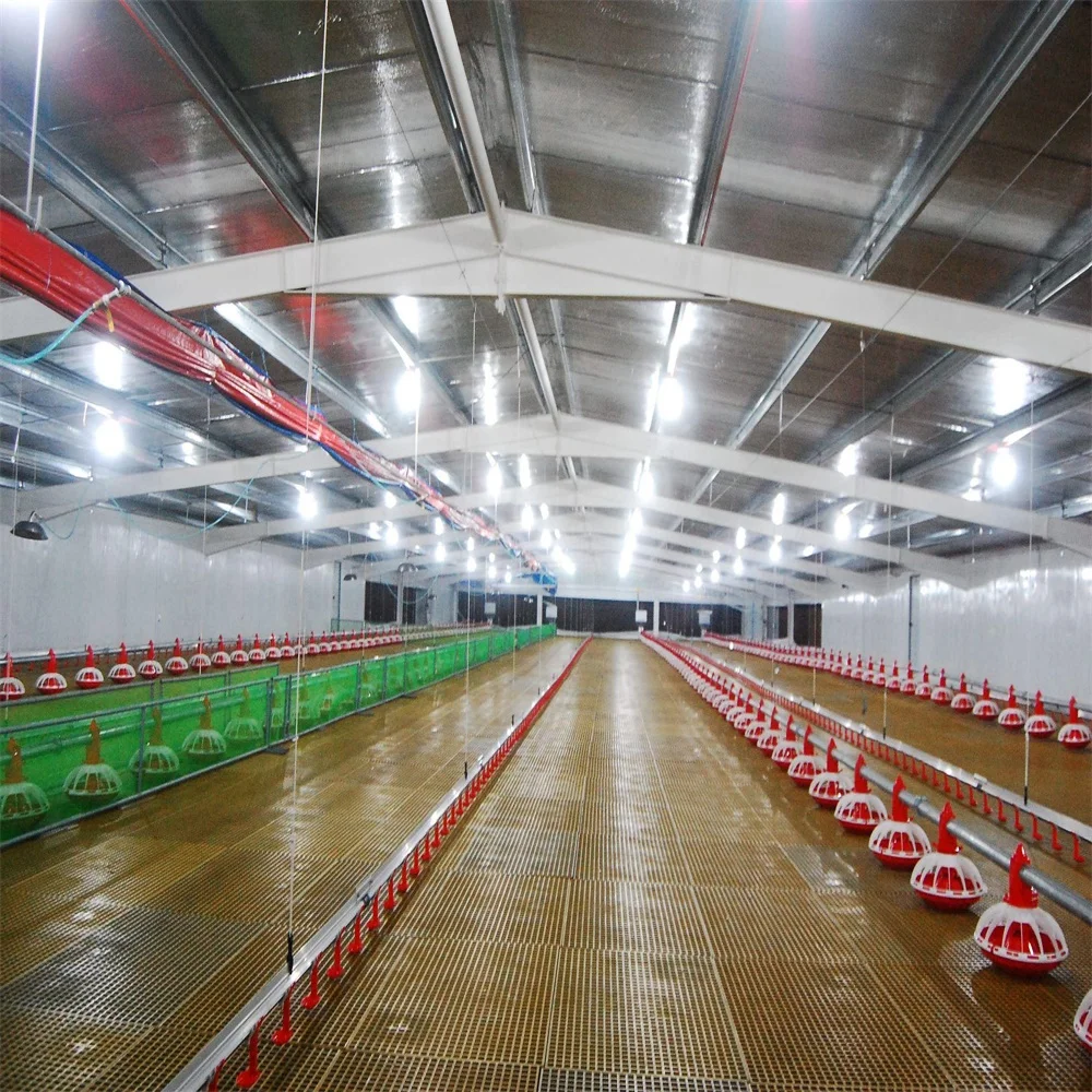 Factory Price Steel Structure Chicken Home Poultry House Chicken Farm ...