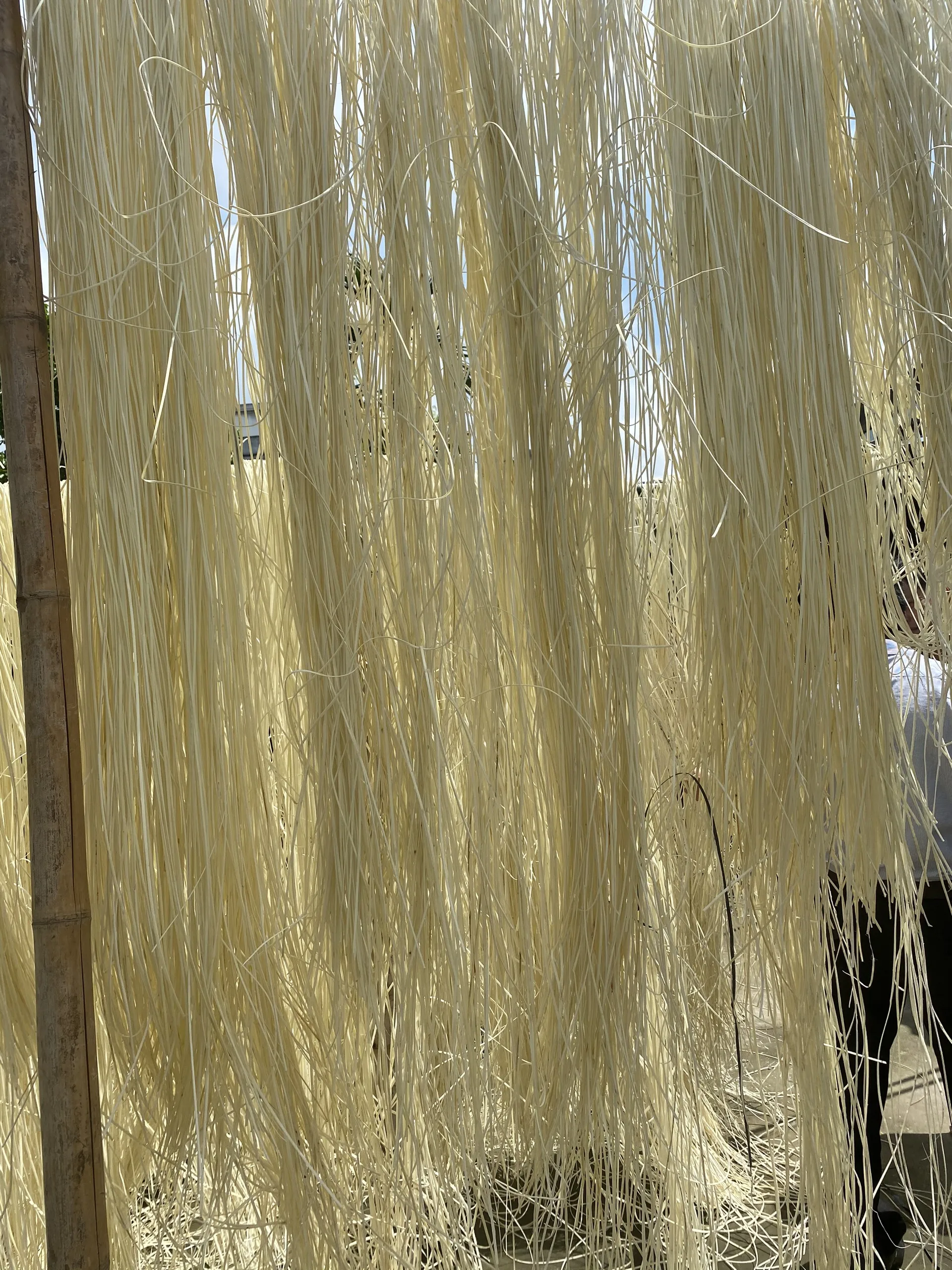 Vietnamese Raw Rattan Cane Natural Rattan Core Cheap Price for Export ...